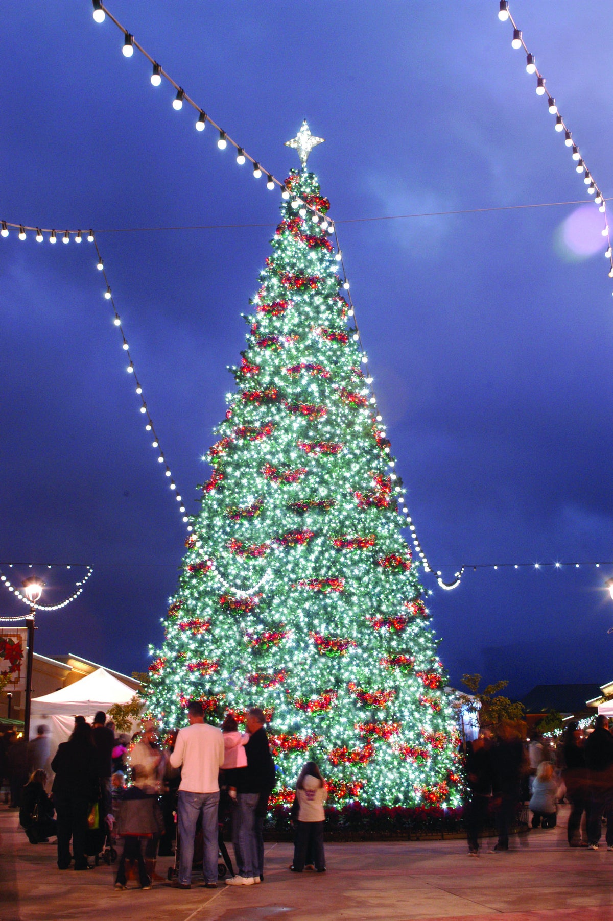 Giant Christmas Trees Giant Commercial Christmas Trees For Holiday